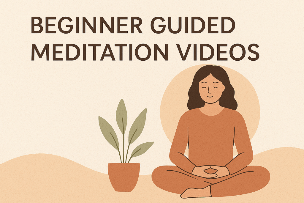 Meditation for beginners: free guided videos - Buddhism in Daily Life